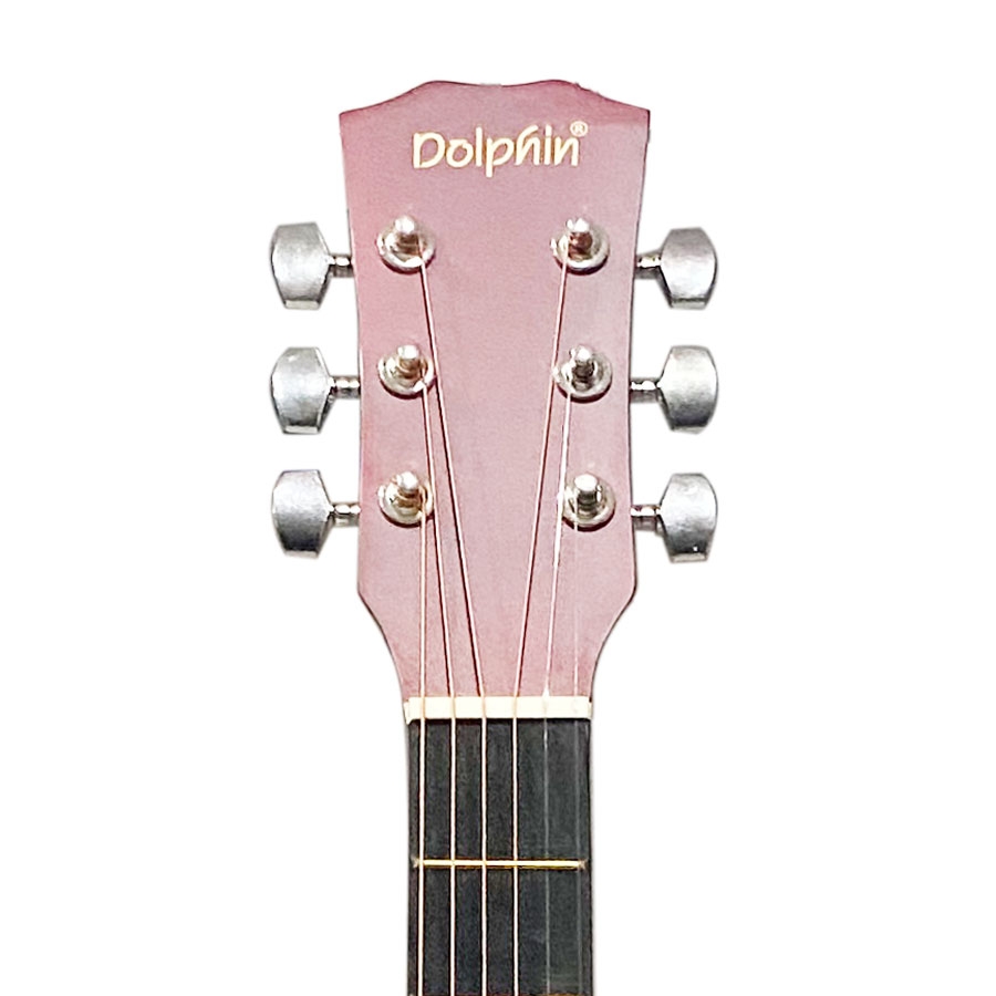 Dolphin DT1C Cutaway Acoustic Guitar - Bina Enterprises